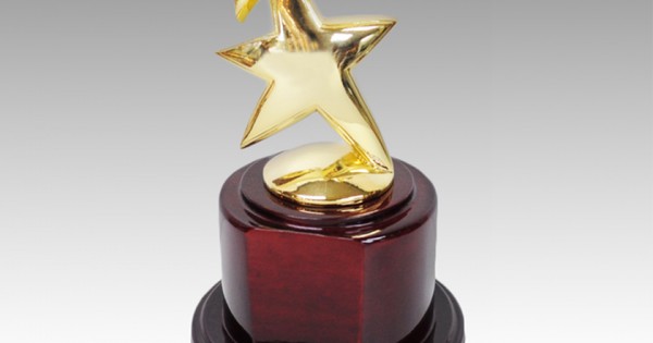 24K Gold Plated Constellation Star